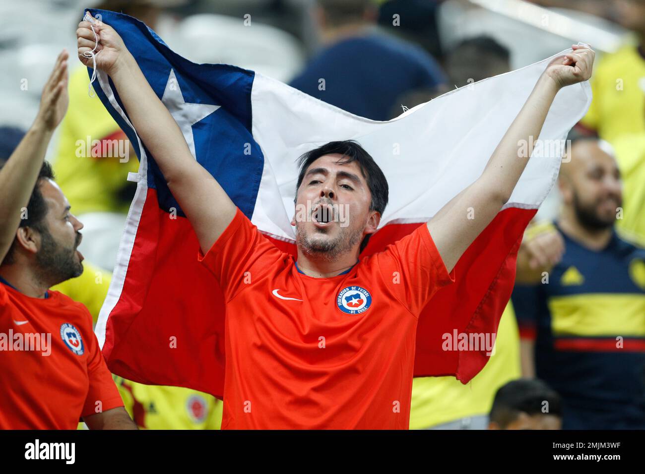 A Chile's fan cheers prior to a Copa America quarterfinal soccer match ...