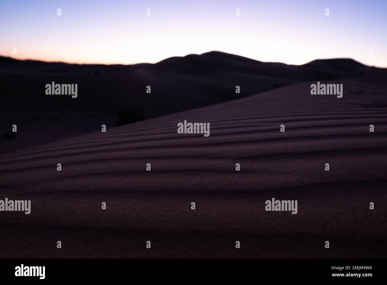 Dawn in the Sahara desert. Empty dunes landscape Stock Photo - Alamy