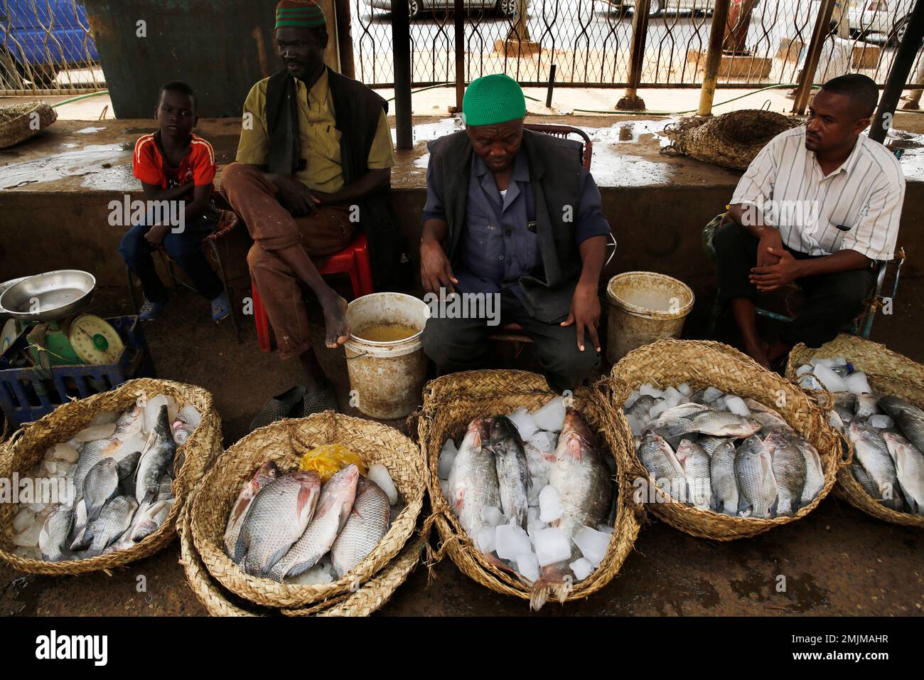 Sudanese fishermen display their fish for sale, at a fish market near ...