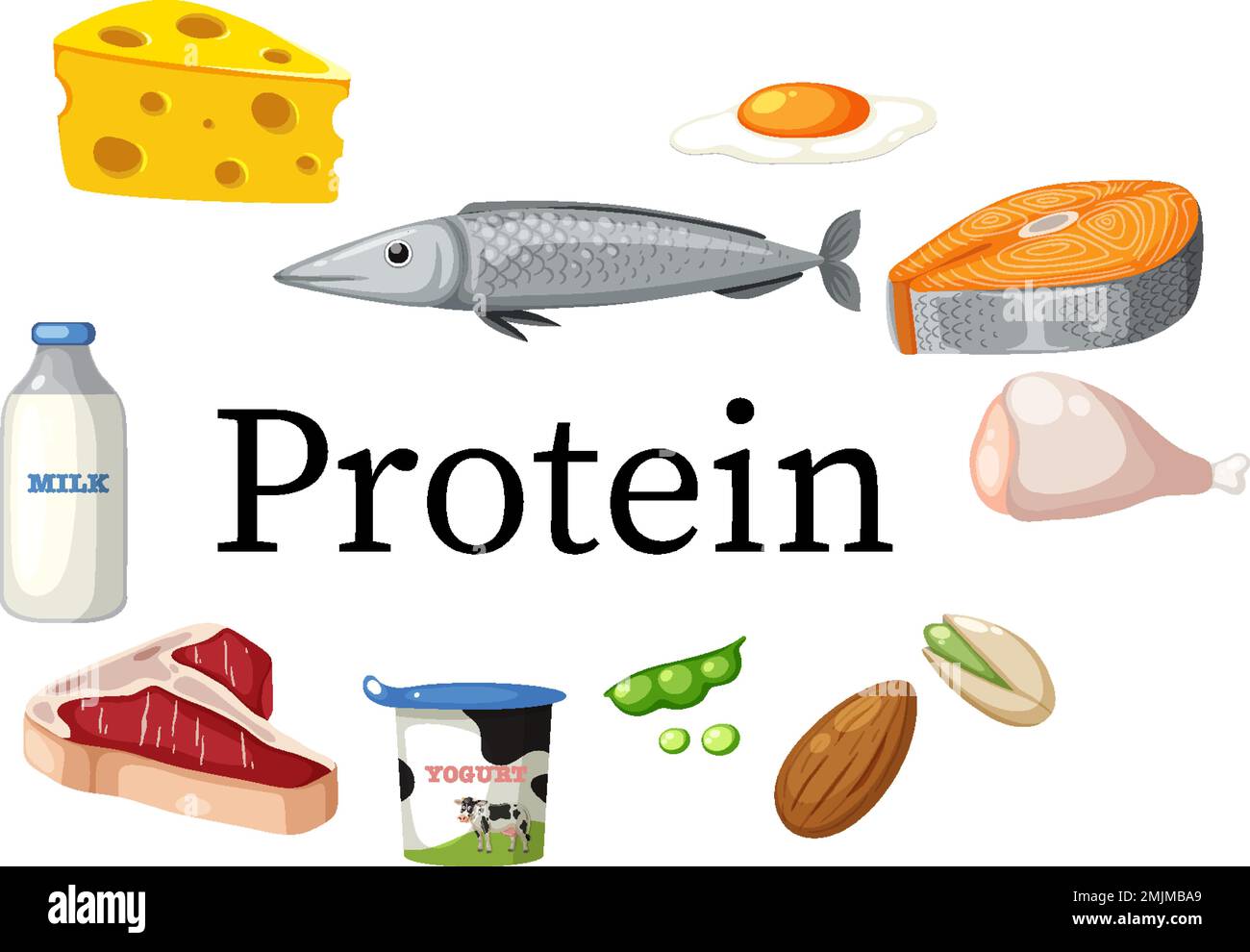 Foods surrounding protein text illustration Stock Vector Image & Art ...
