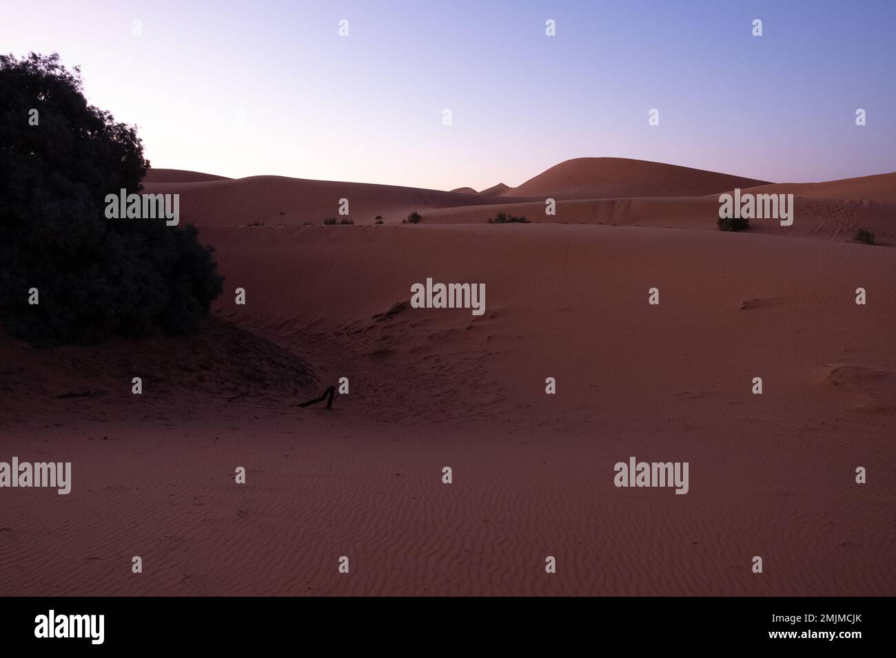 Dawn in the Sahara desert. Empty dunes landscape Stock Photo - Alamy
