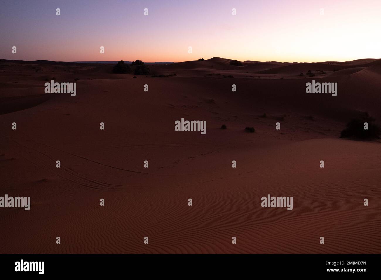 Dawn in the Sahara desert. Empty dunes landscape Stock Photo - Alamy