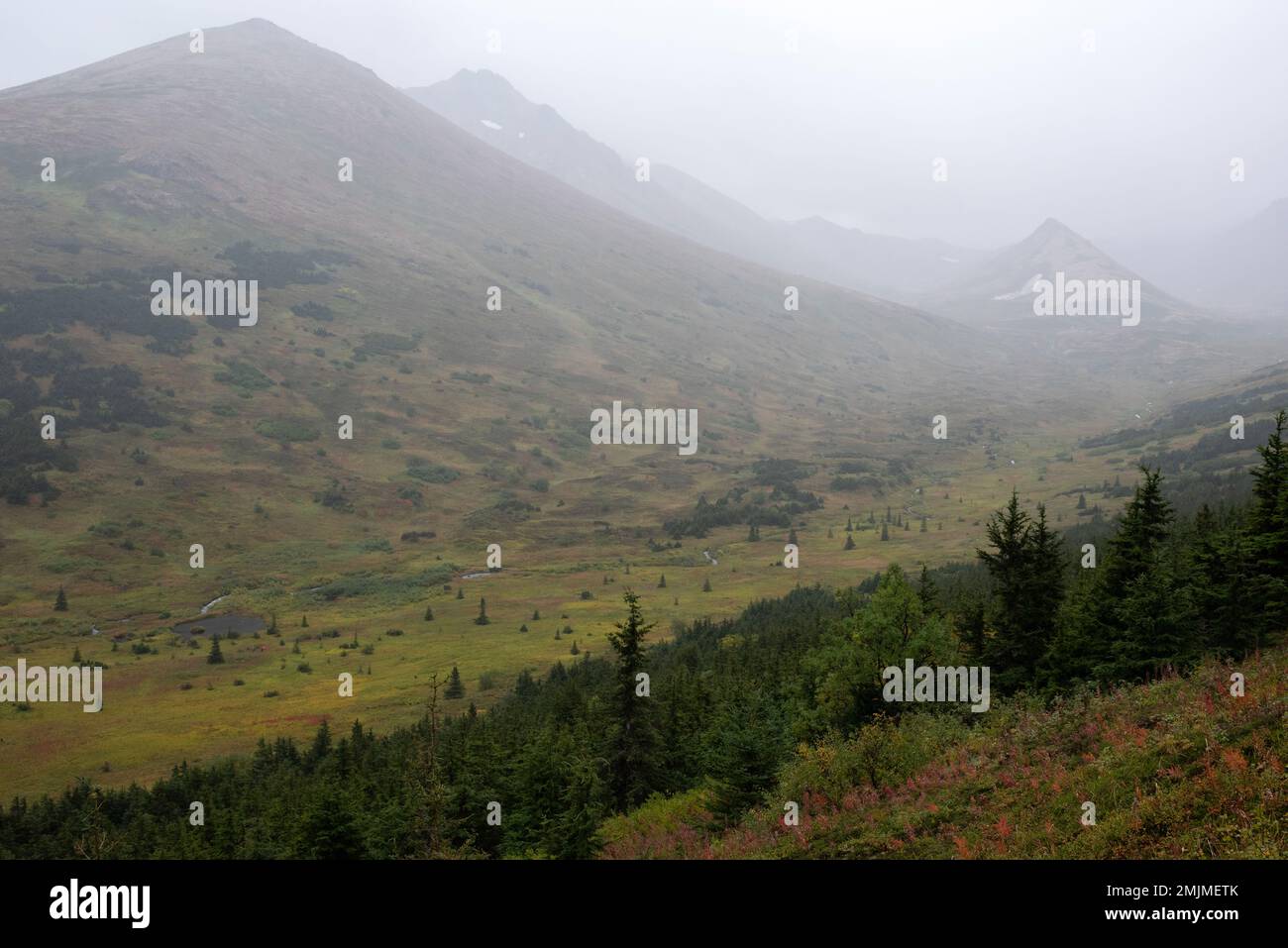 A view of Geronimo Drop Zone, Joint Base Elmendorf-Richardson, Alaska ...