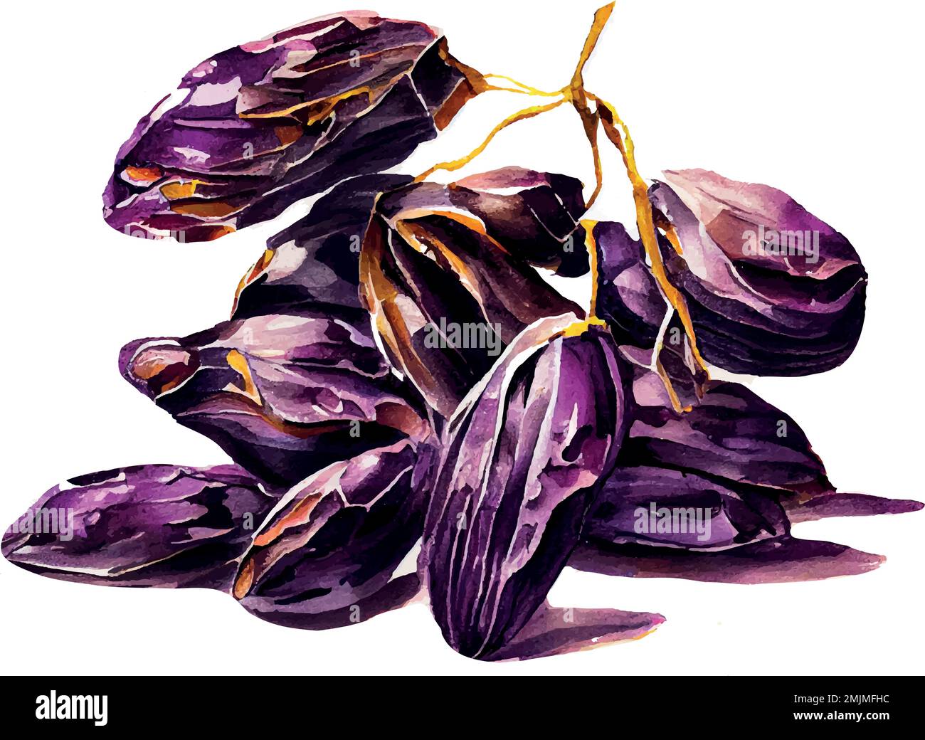 Ink drawn dates with leaves. Design with date palm leaves and ripe ...