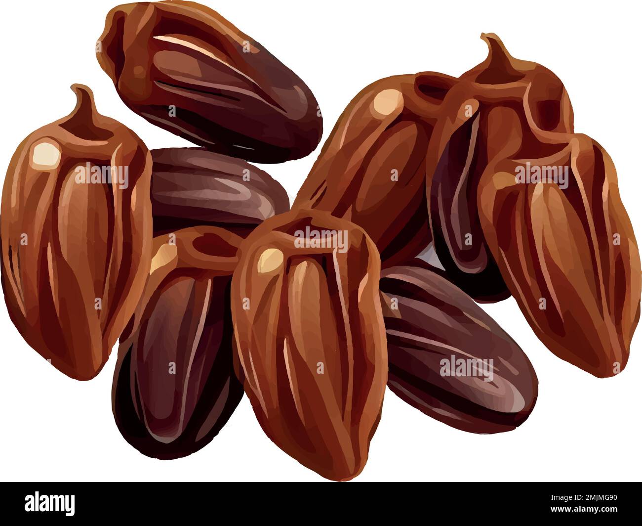 Ink drawn dates with leaves. Design with date palm leaves and ripe ...