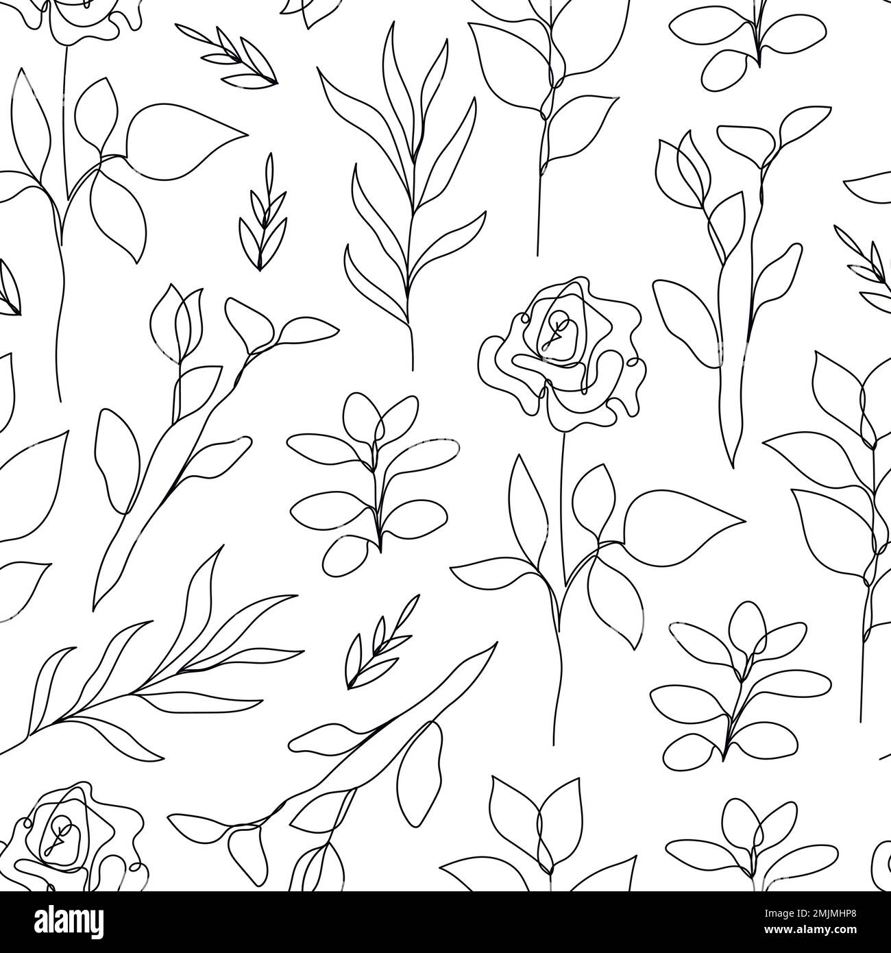 Vector flower linear seamless background, roses and leaves line pattern ...