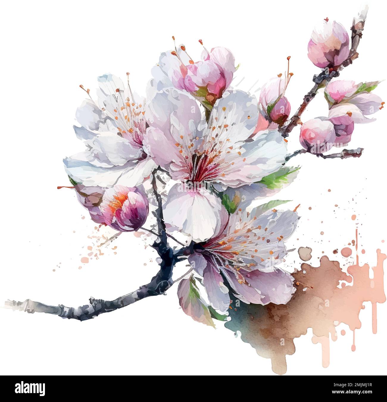 Spring flowers: cherry blossoms and falling petals background ...