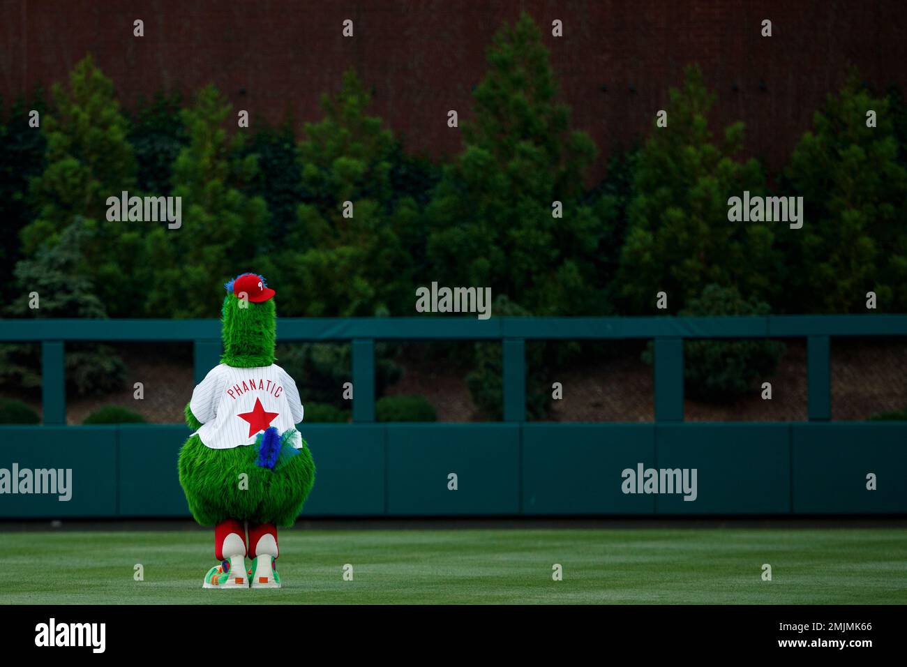 The Philadelphia Phillies mascot, The Phillies Phanatic in action ...