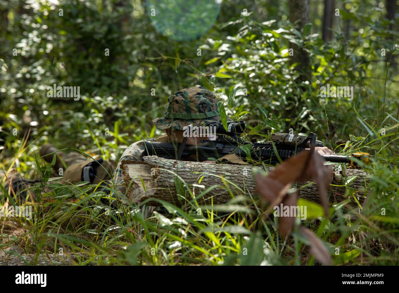 U.S. Marine Corps Cpl. Dakota Honstein, a forward observer with 2nd Air ...