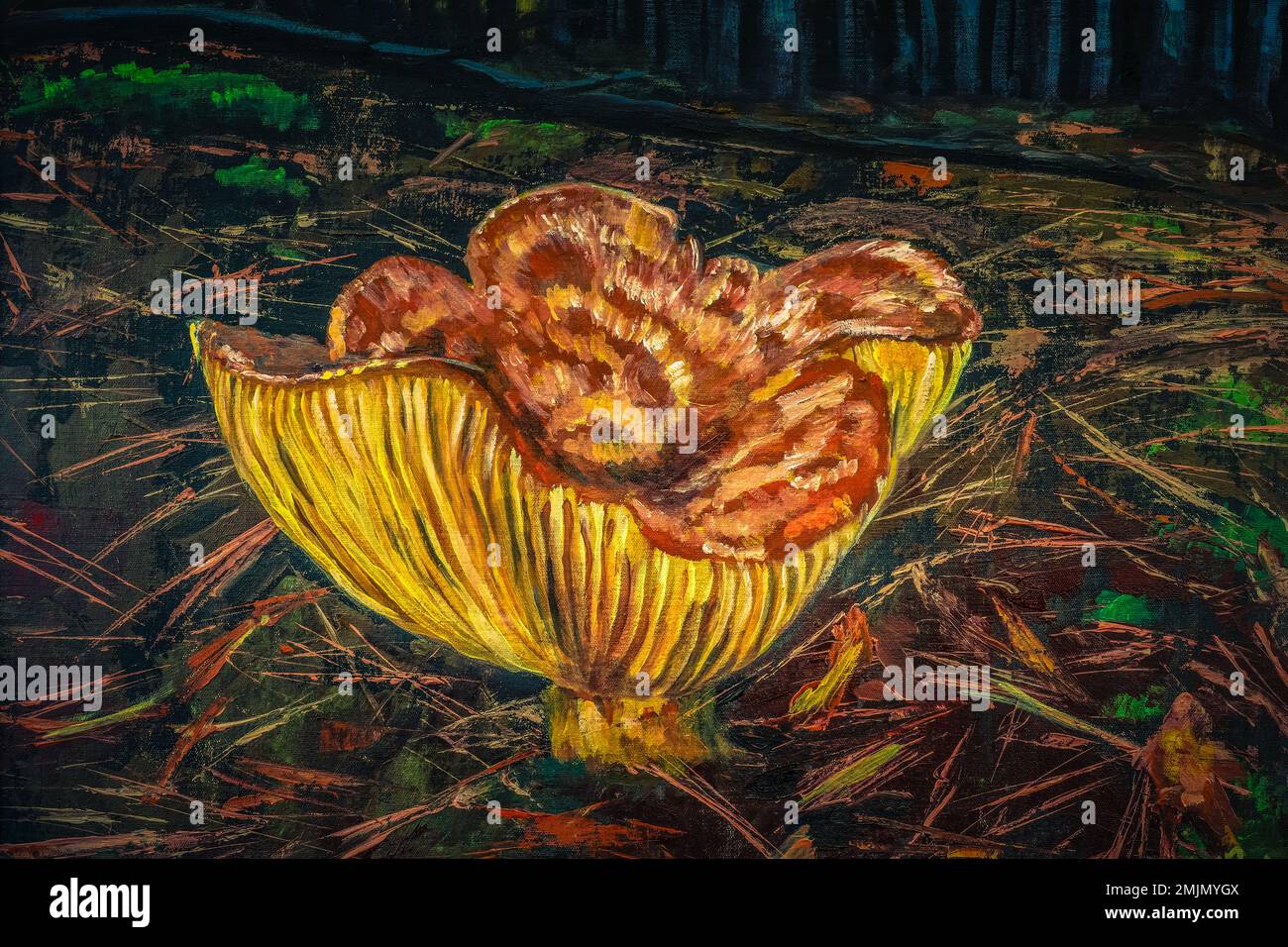 Delicious milk cap also orange-milk mushroom - delicious edible ...