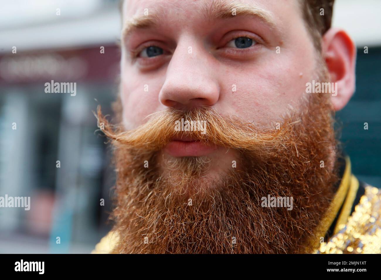 Verdi Beard