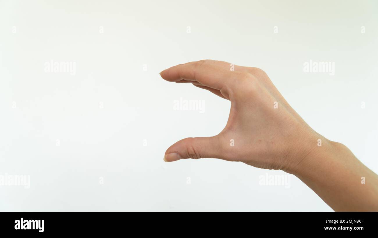 Hand holding an object, holding a sandwich, showing size Stock Photo ...