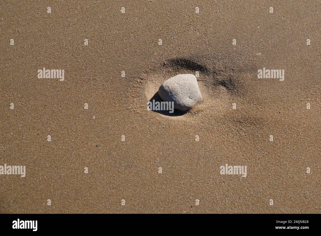 sand texture background with stone rock on low tide beach sandy pattern ...