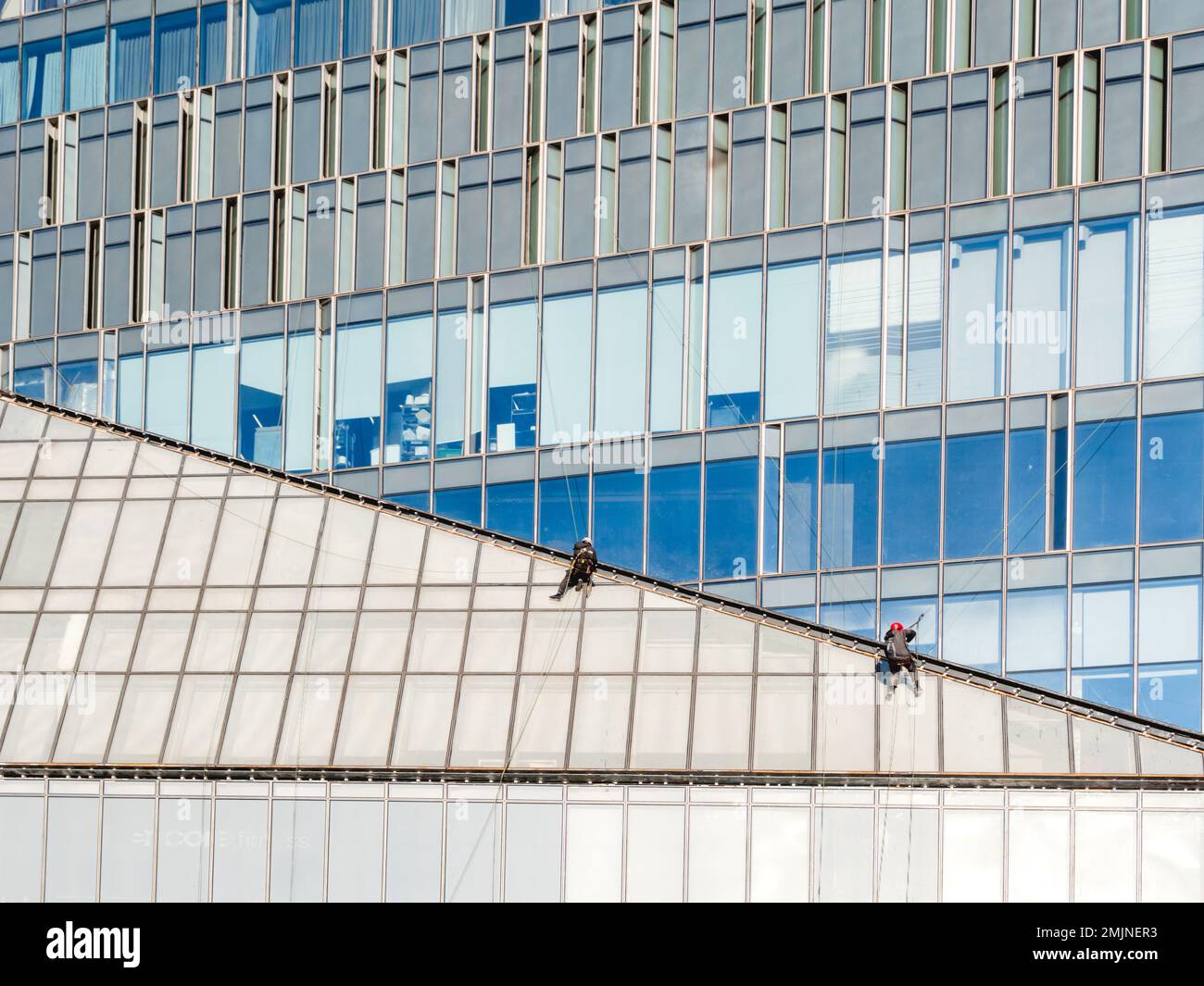 Two industrial climbers with safety tethers wash windows or repair ...