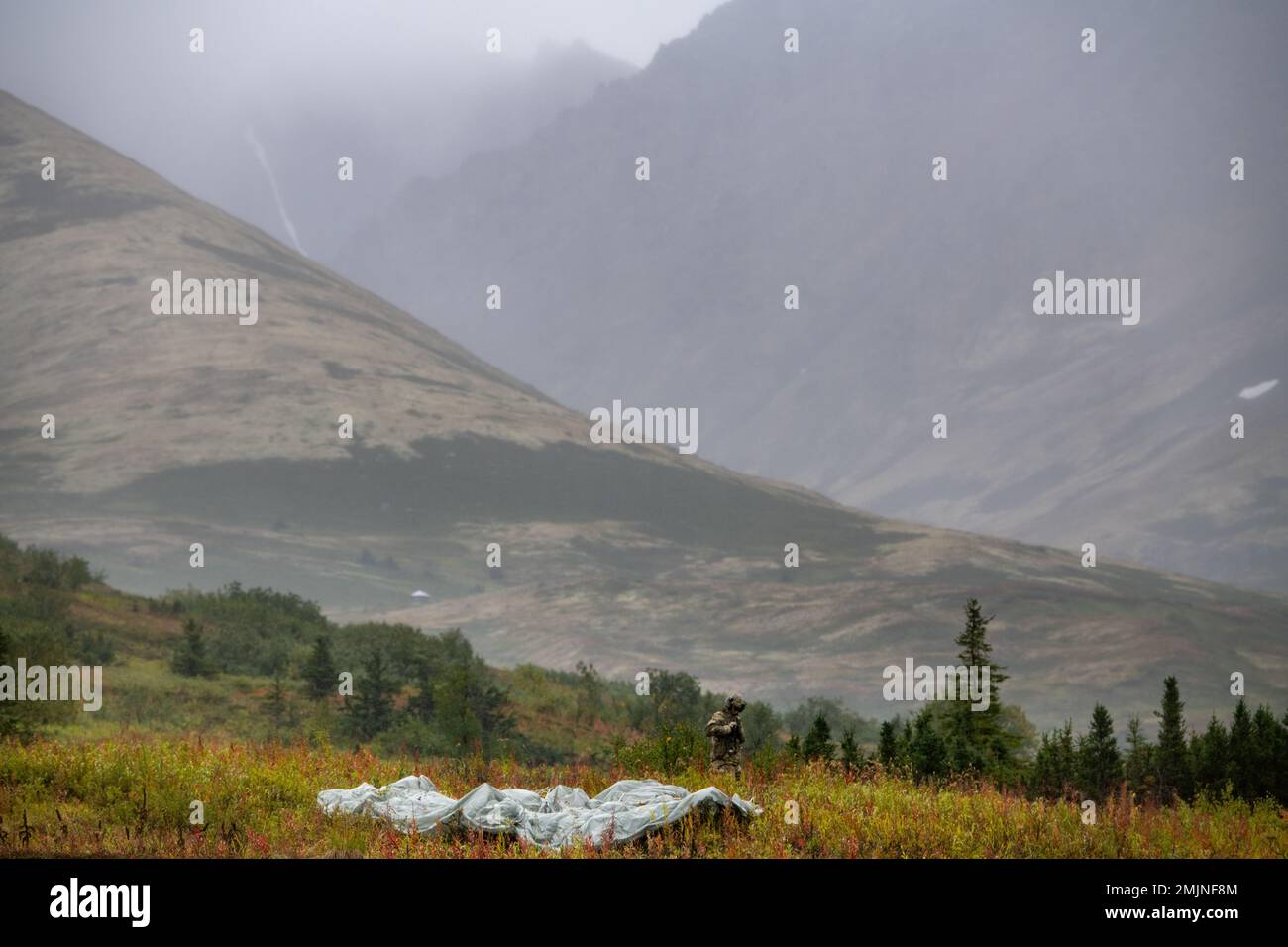 An Air Force tactical air control party specialist, assigned to ...