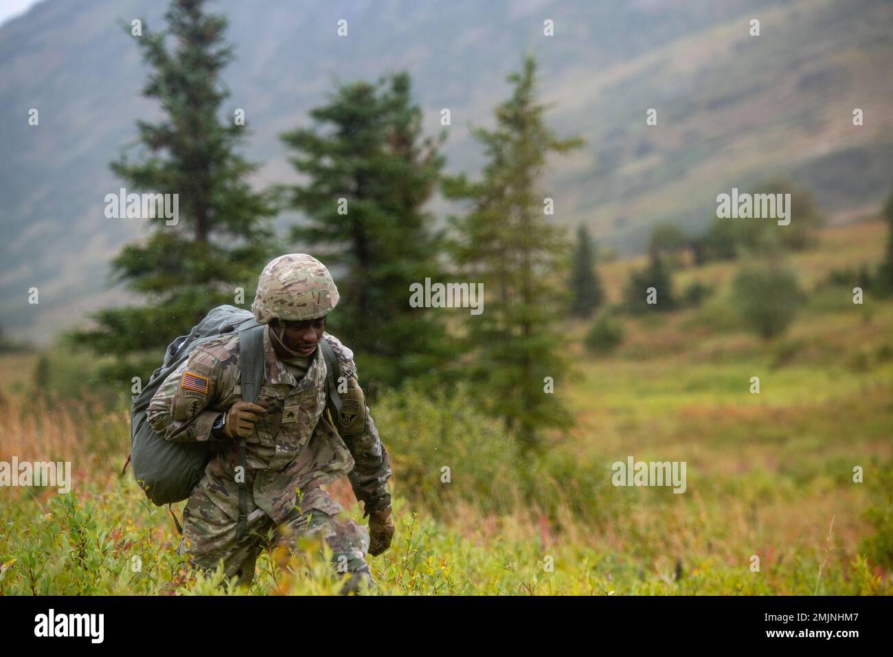 A U.S. Army paratrooper assigned to the 2nd Infantry Brigade Combat ...
