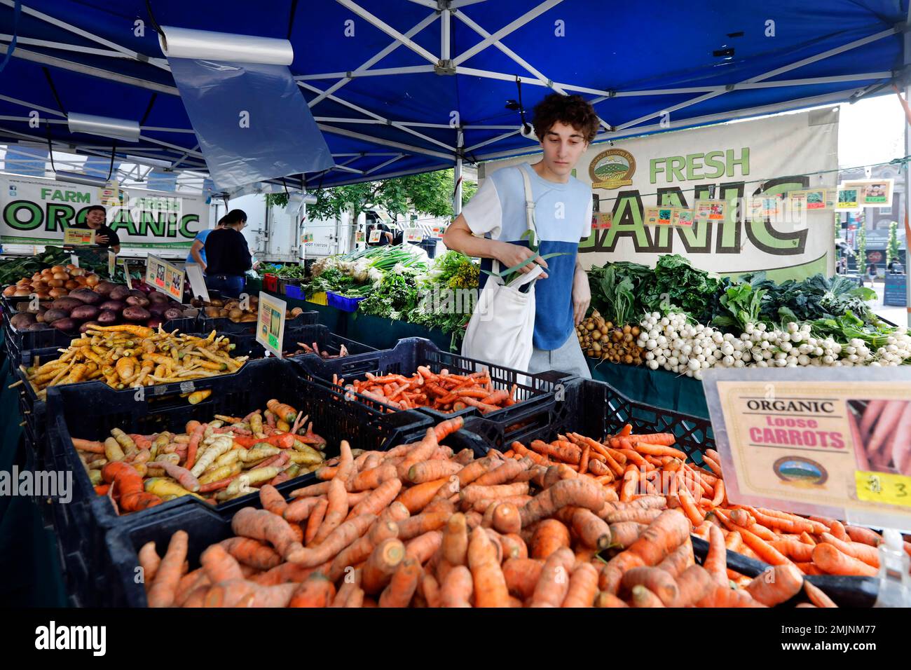 In this May 20, 2019 photo, Jonah Reider shops for provisions in New ...