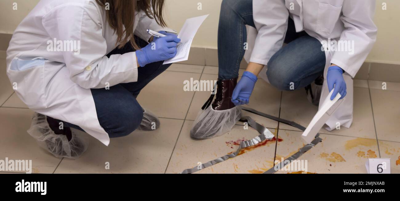 Criminological expert collecting evidence at the crime scene. Law and police concept. Forensic ...