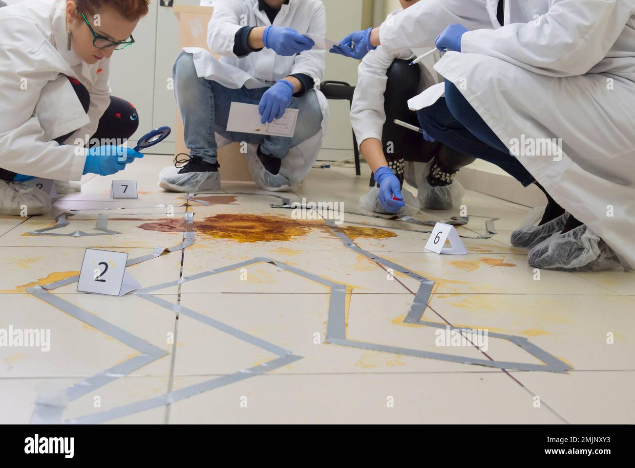 Criminological expert collecting evidence at the crime scene. Law and police concept. Forensic ...