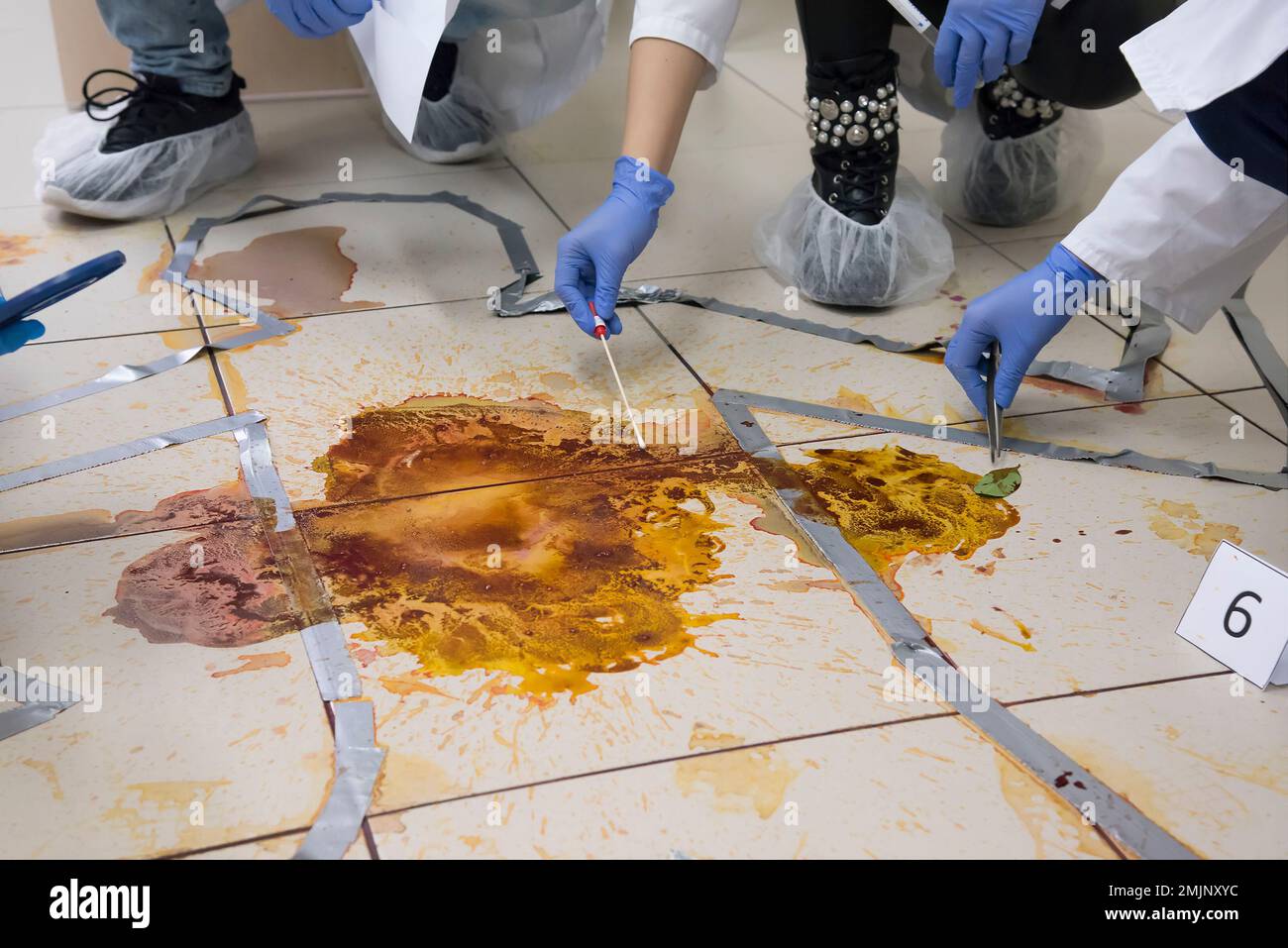 Criminological expert collecting evidence at the crime scene. Law and ...