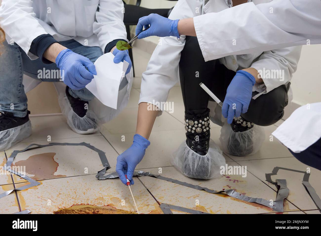 Criminological expert collecting evidence at the crime scene. Law and ...