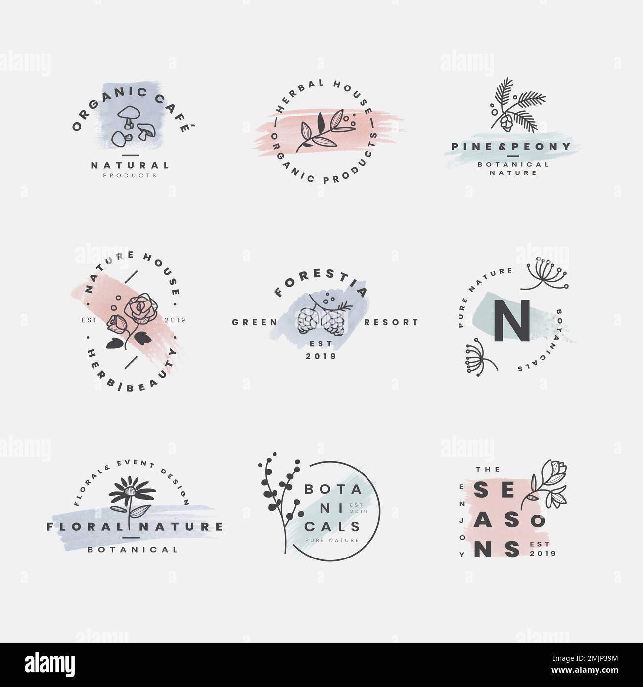 Set of floral botanical vectors Stock Vector Image & Art - Alamy