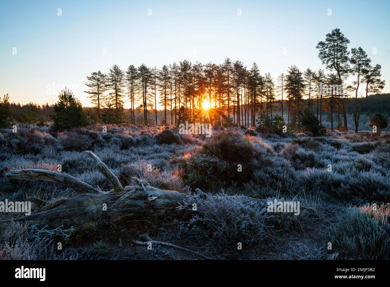 Sunrise at Cleddon Nature Reserve in the Wye Valley Stock Photo - Alamy