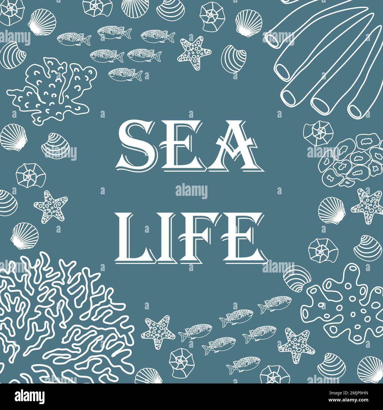 Vector ocean illustration with fish, shells, corals, algae. Sea life ...
