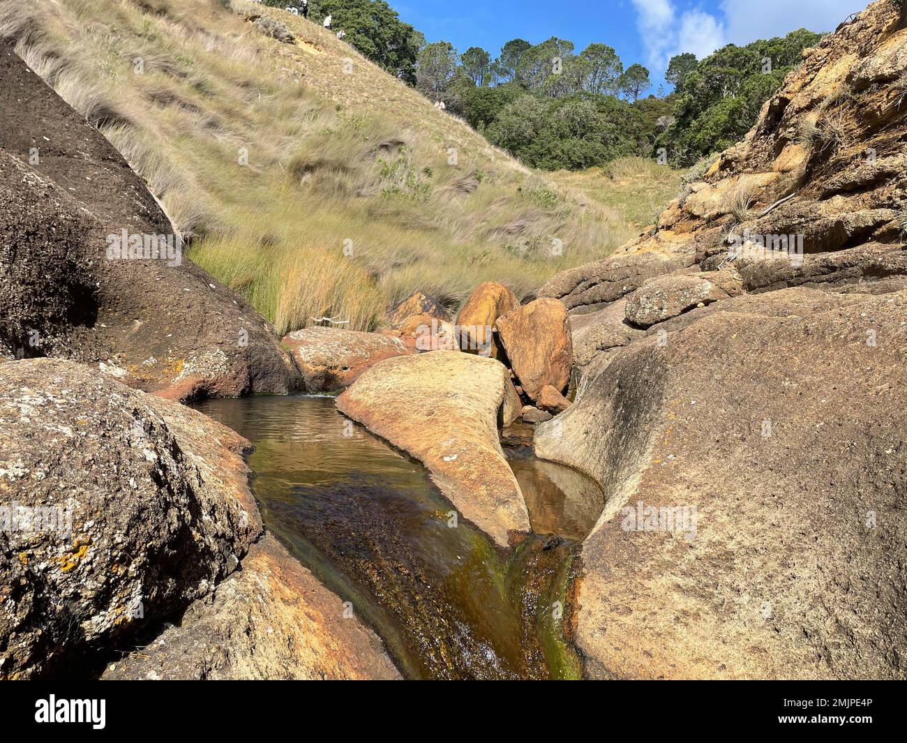 The view of river flows among rocks with bush on background, Waihi ...