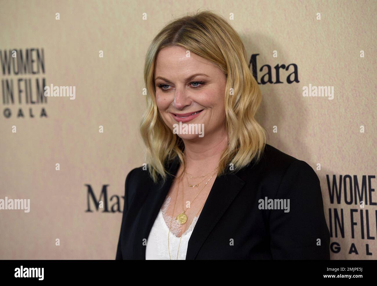Amy Poehler arrives at the Women in Film Annual Gala on Wednesday, June ...