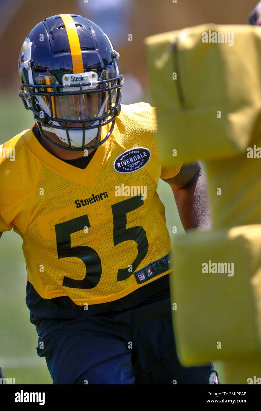 Pittsburgh Steelers linebacker Devin Bush (55) goes through drills ...