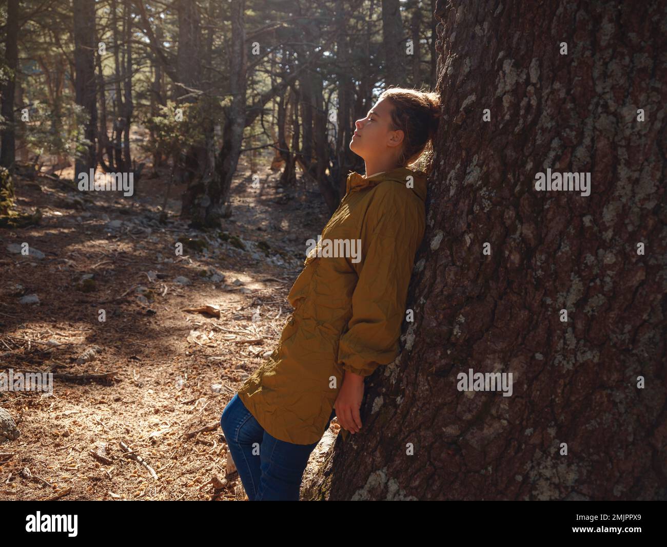 Employee wellness activities hi-res stock photography and images - Alamy