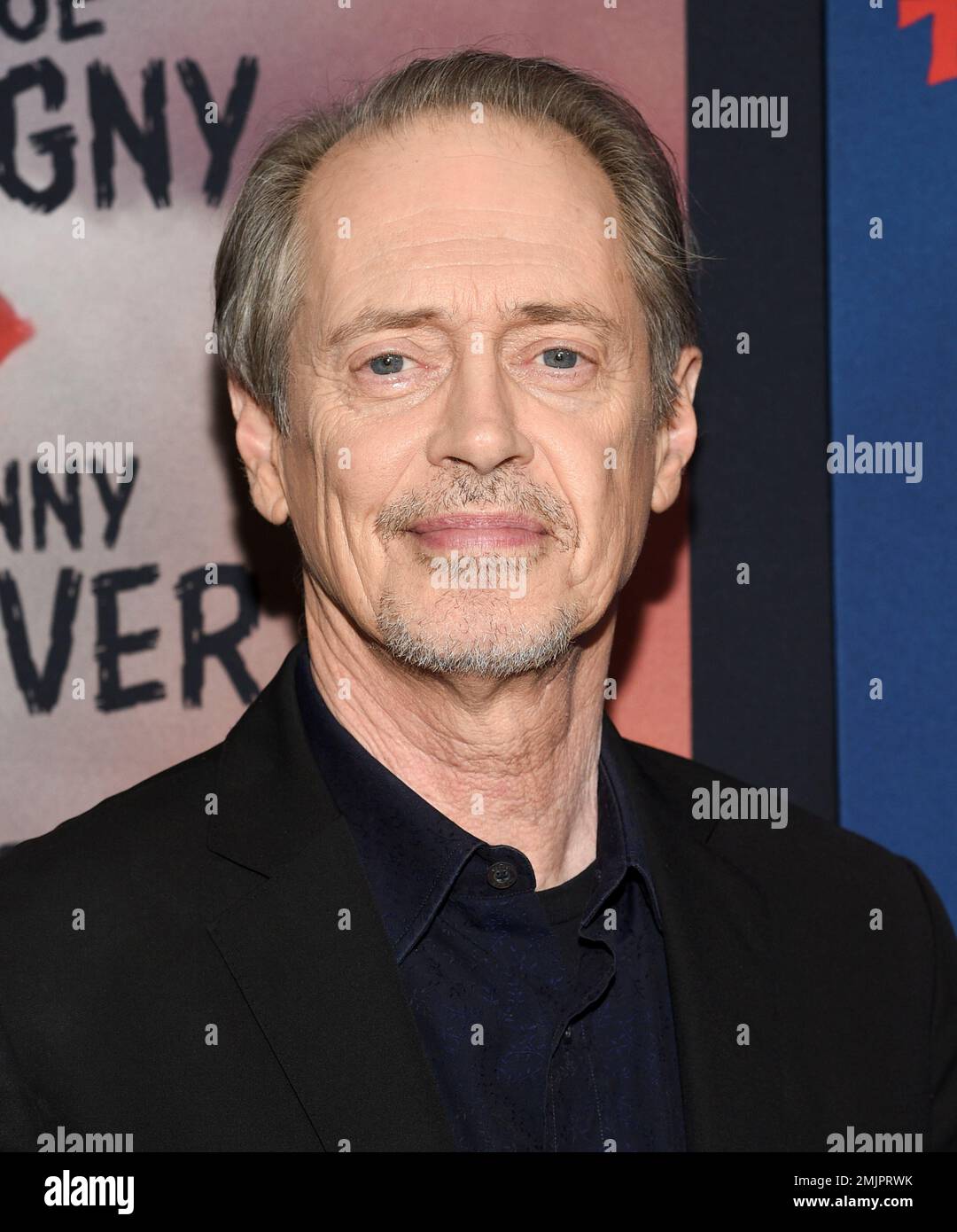Actor Steve Buscemi attends the premiere of "The Dead Don't Die" at the ...