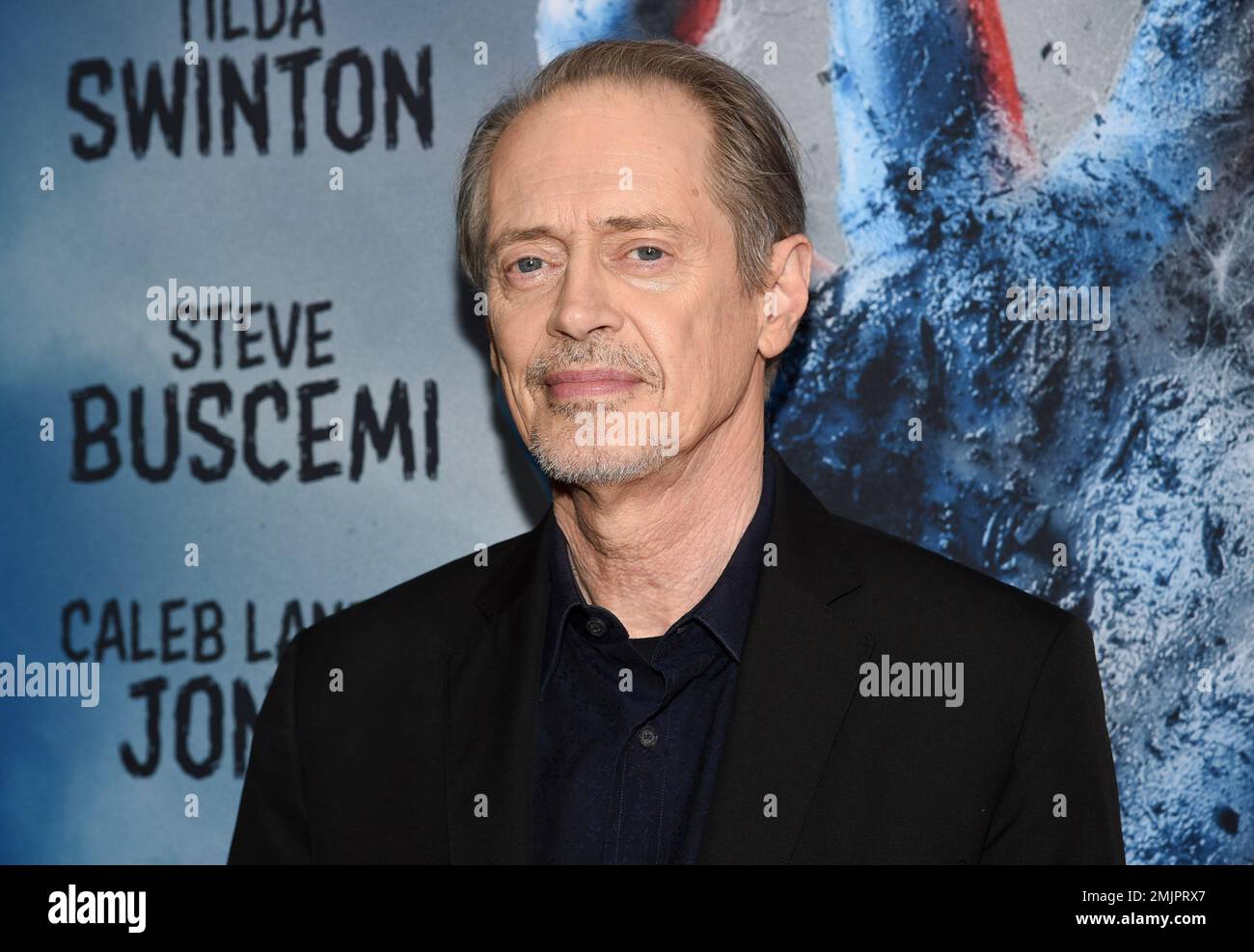 Actor Steve Buscemi attends the premiere of "The Dead Don't Die" at the ...