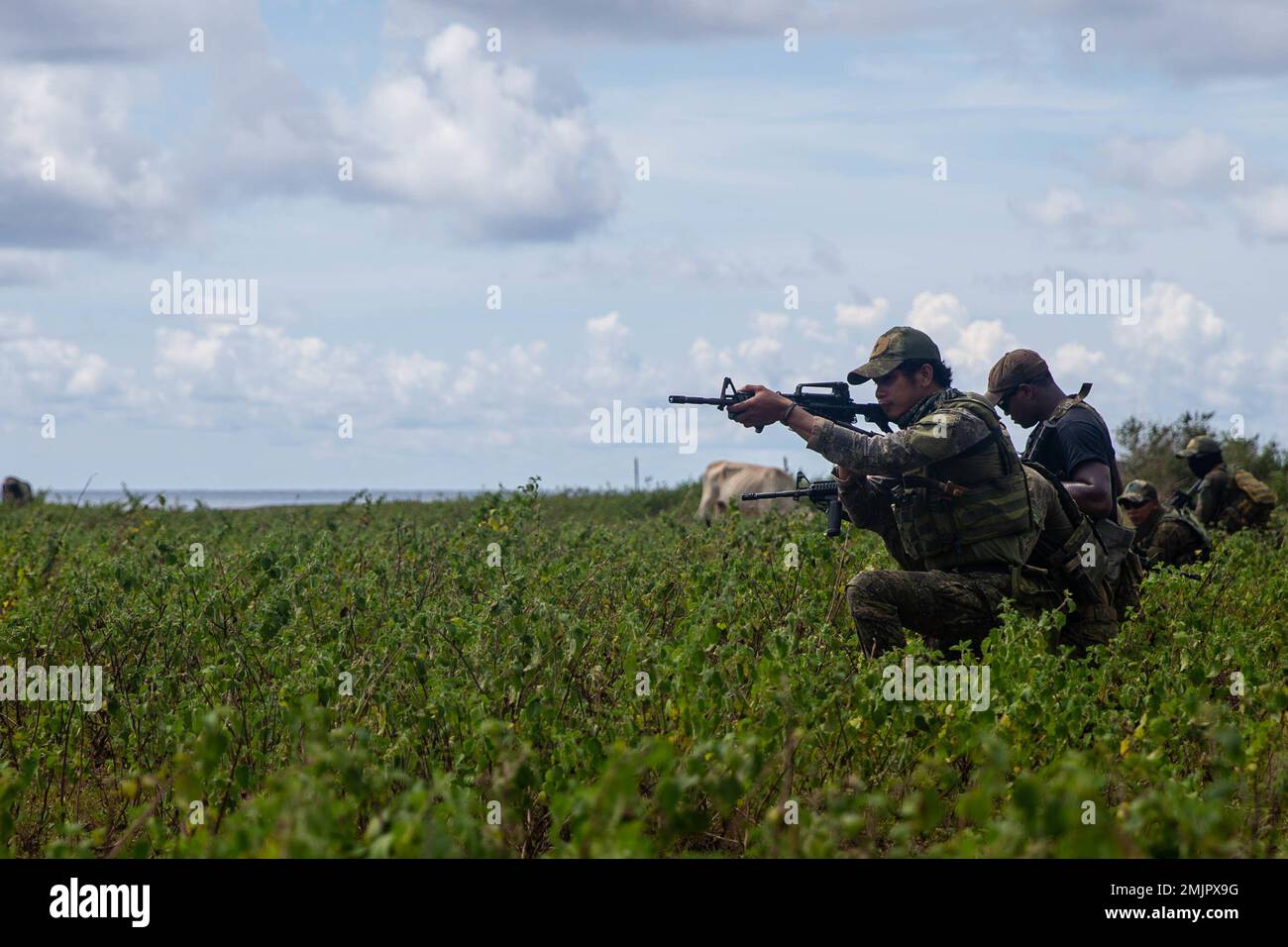 PALAWAN, Philippines (Aug. 31, 2022) Members of the Philippine Army ...