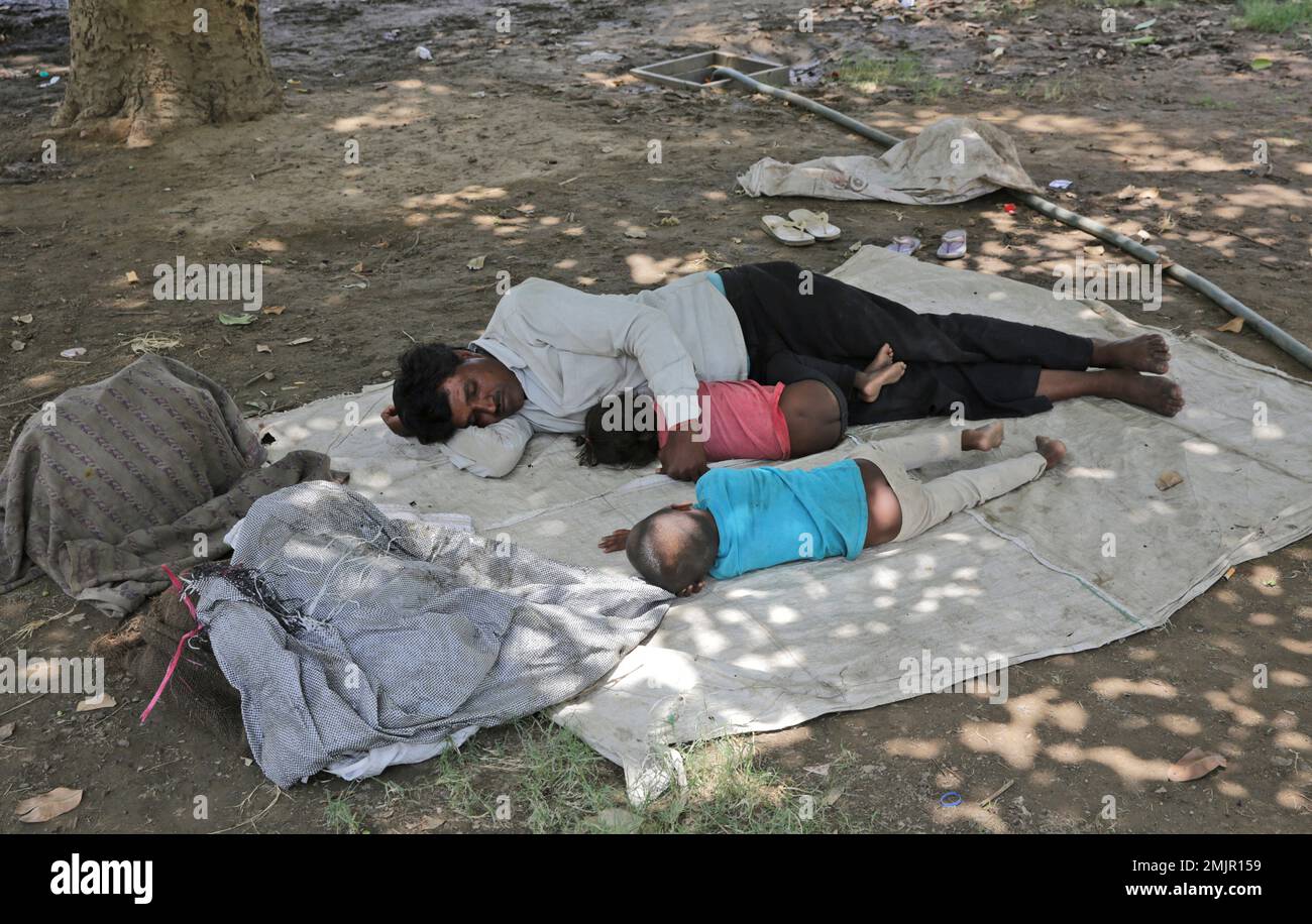 A family sleeps under the shade of a tree to beat the heat in New Delhi ...