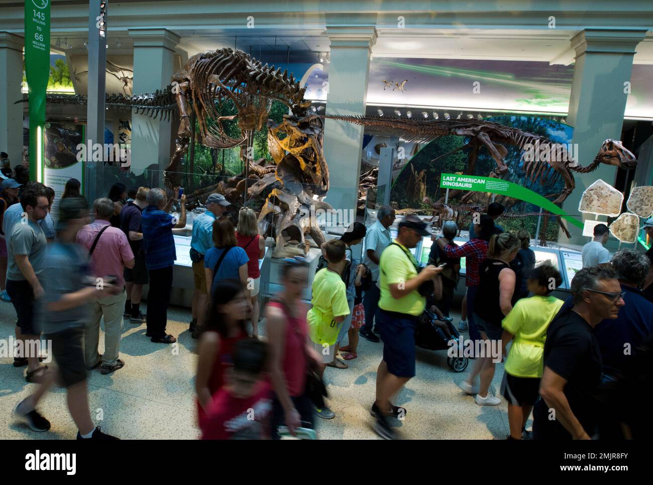 Visitors watch a Tyrannosaurus rex skeleton on display biting a ...