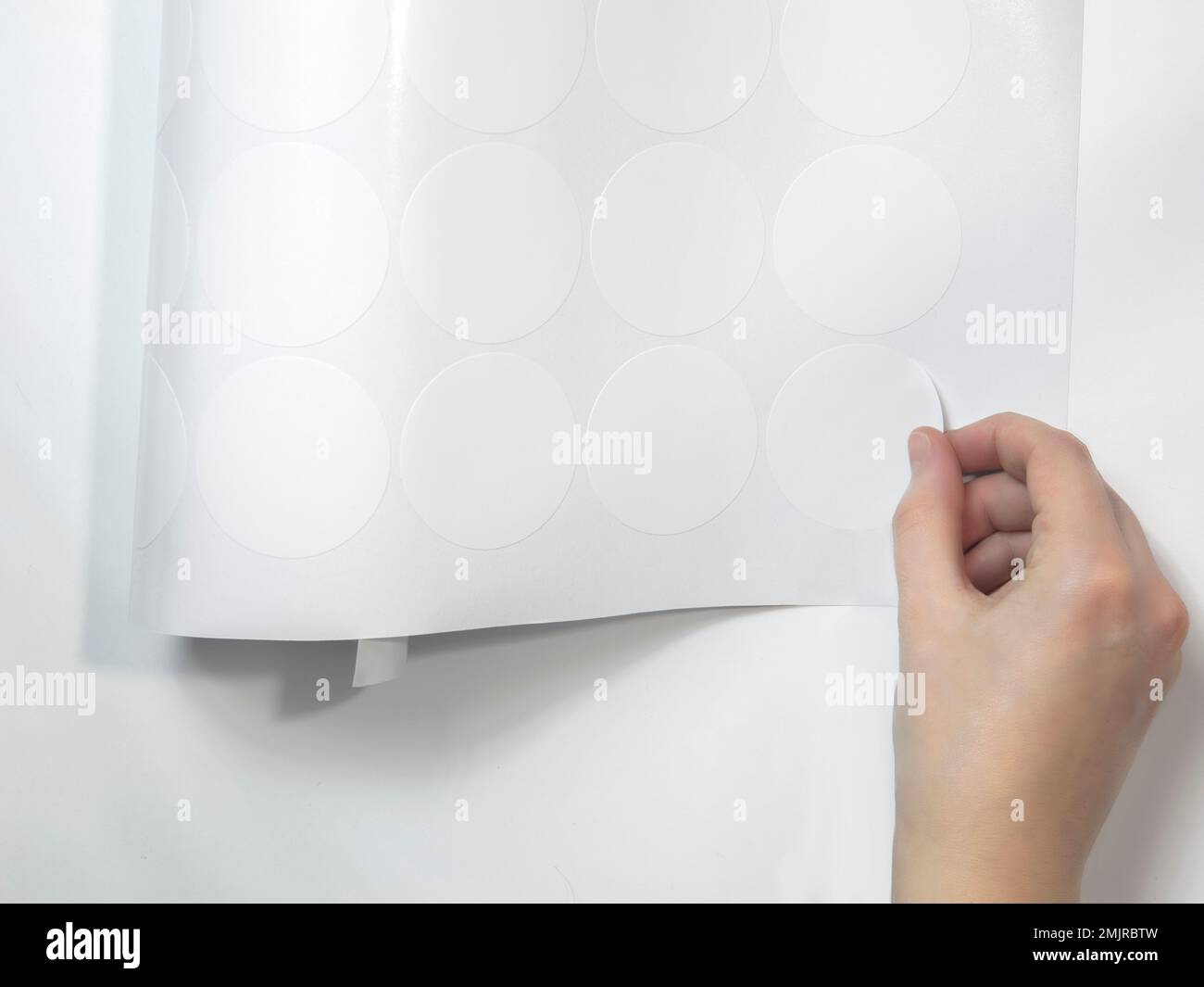 a neat female hand peels off the round white sticker of the plotter ...