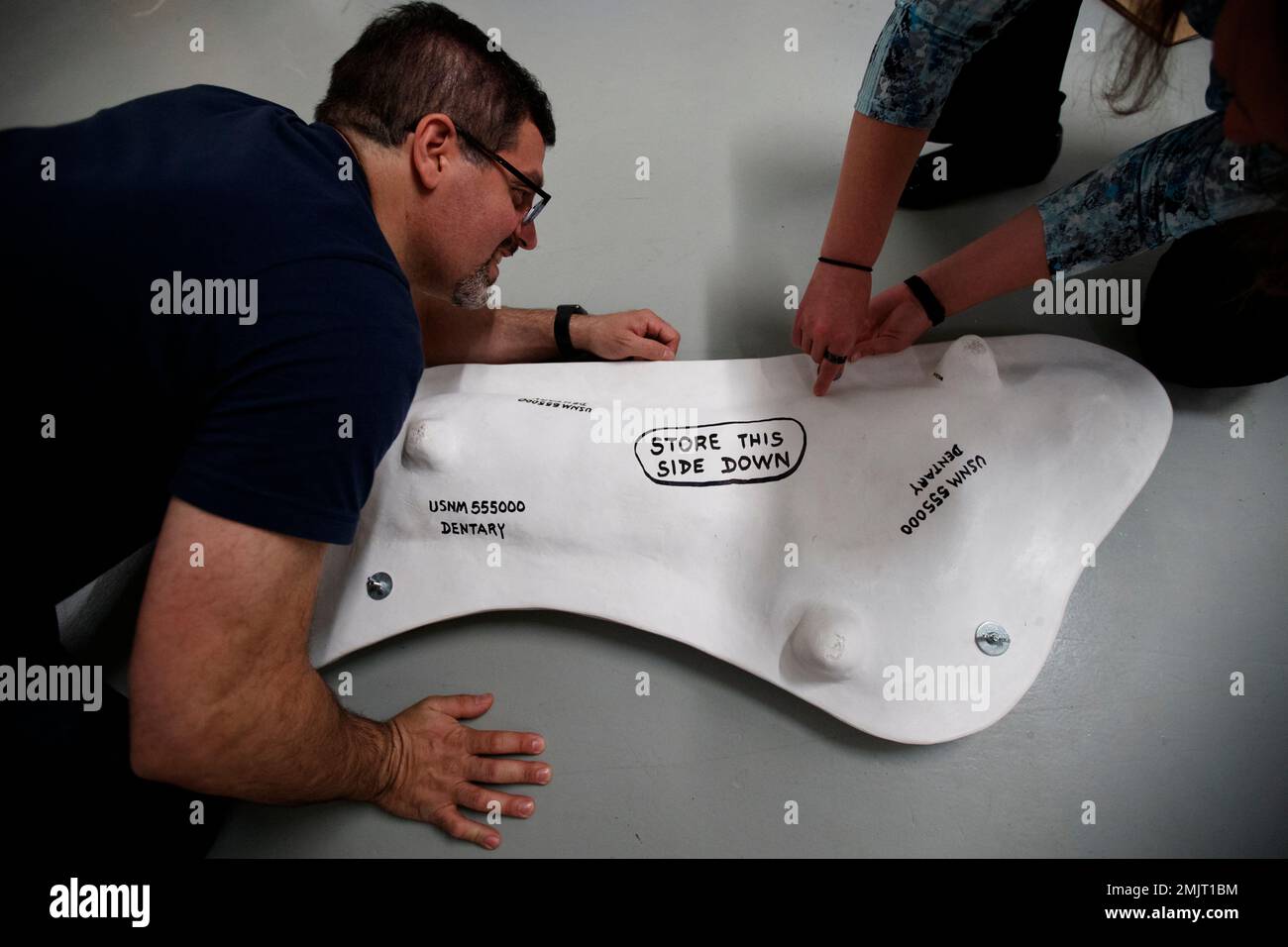 Smithsonian's National Museum of Natural History's Matthew Carrano ...