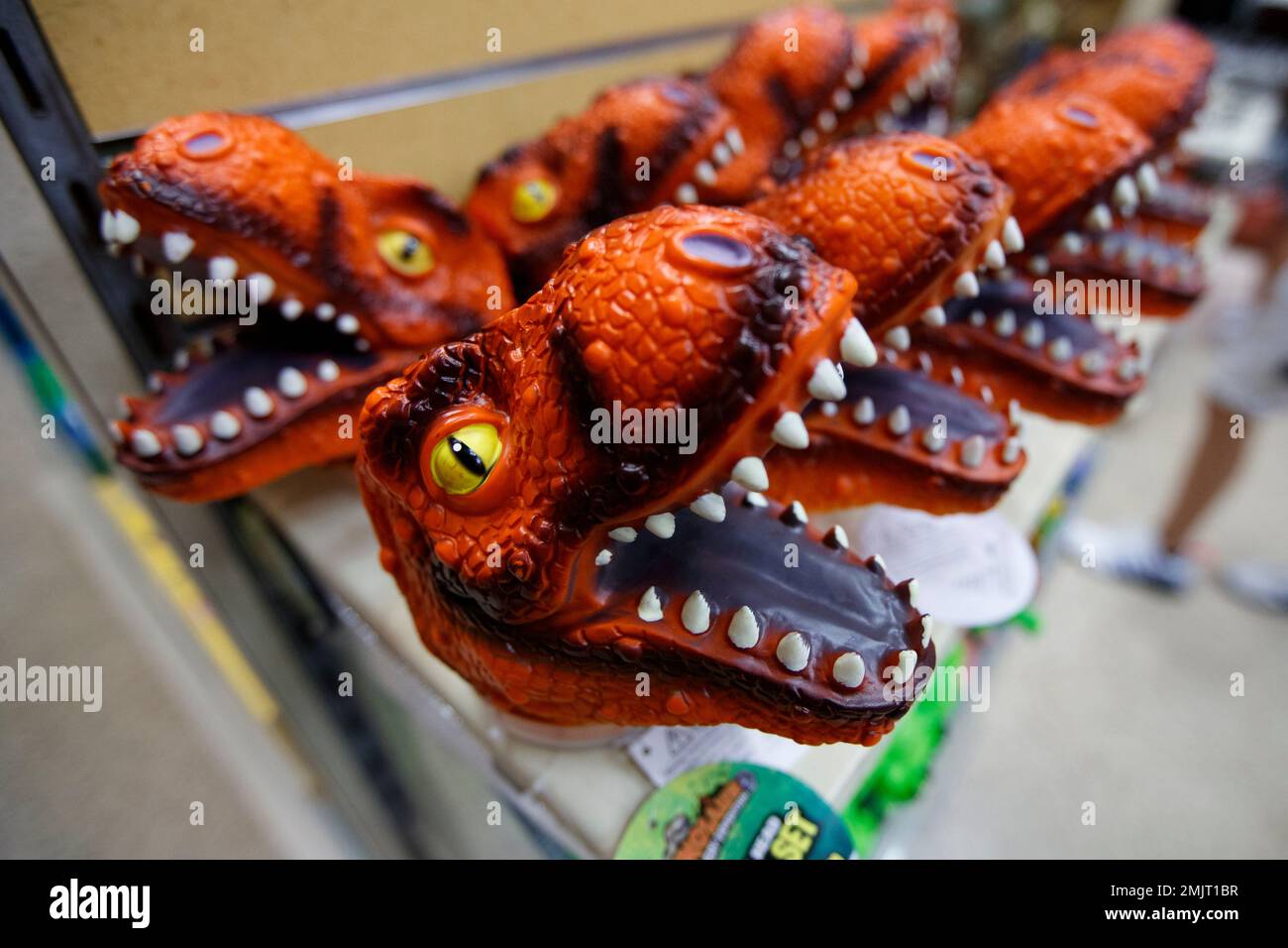 Tyrannosaurus rex toys are displayed in the gift shop at the ...