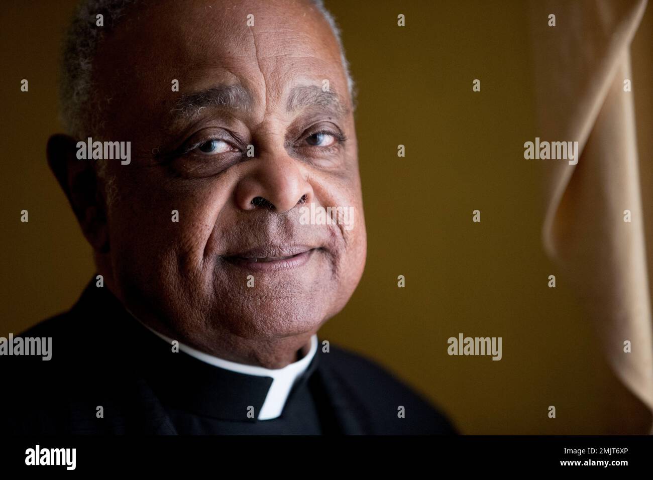 Archbishop of Washington Wilton Gregory poses for a portrait following ...