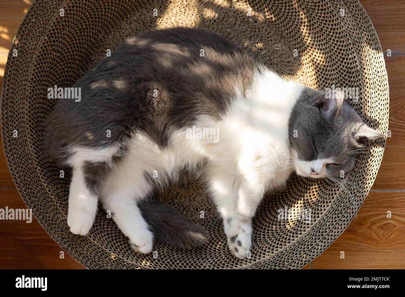 Sun having a bath hi-res stock photography and images - Alamy