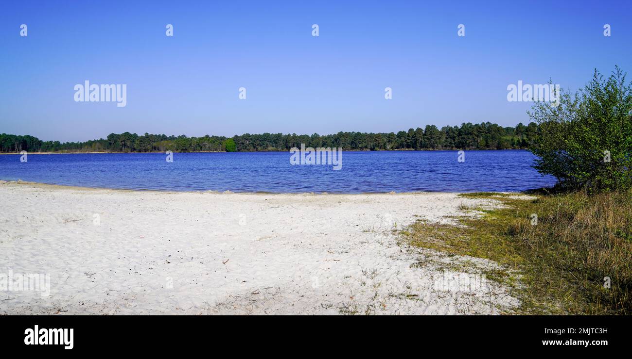 Hostens sandy beach lake with calm water in gironde france Stock Photo ...