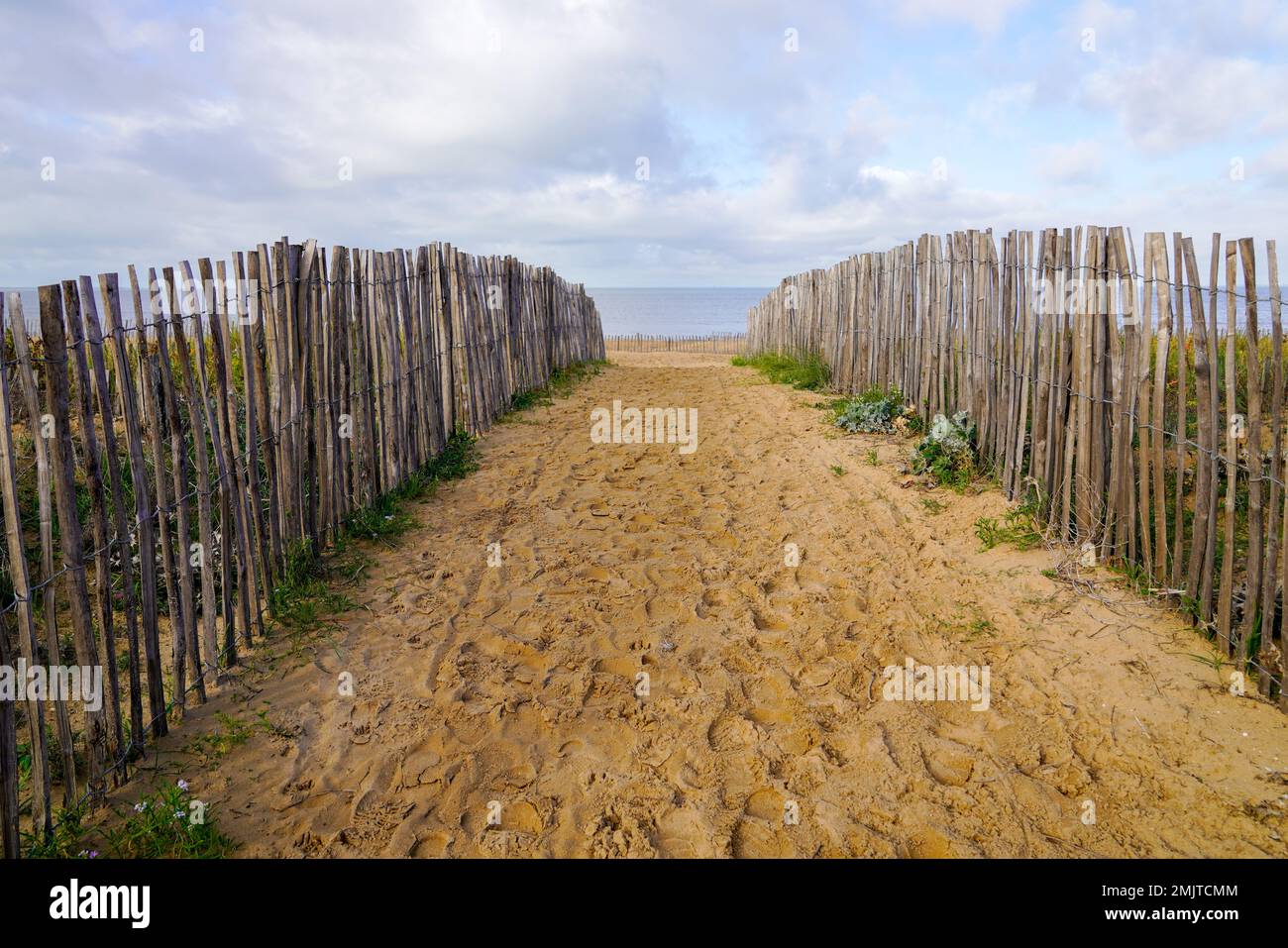 sandy path access to sand of the beach protected by natural wooden ...