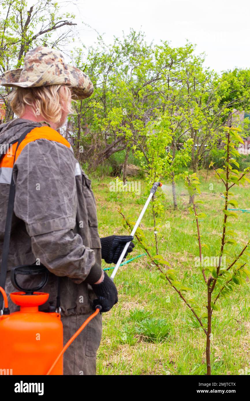 A Farmer Treats Fruit Trees In The Orchard With A Sprayer Spring