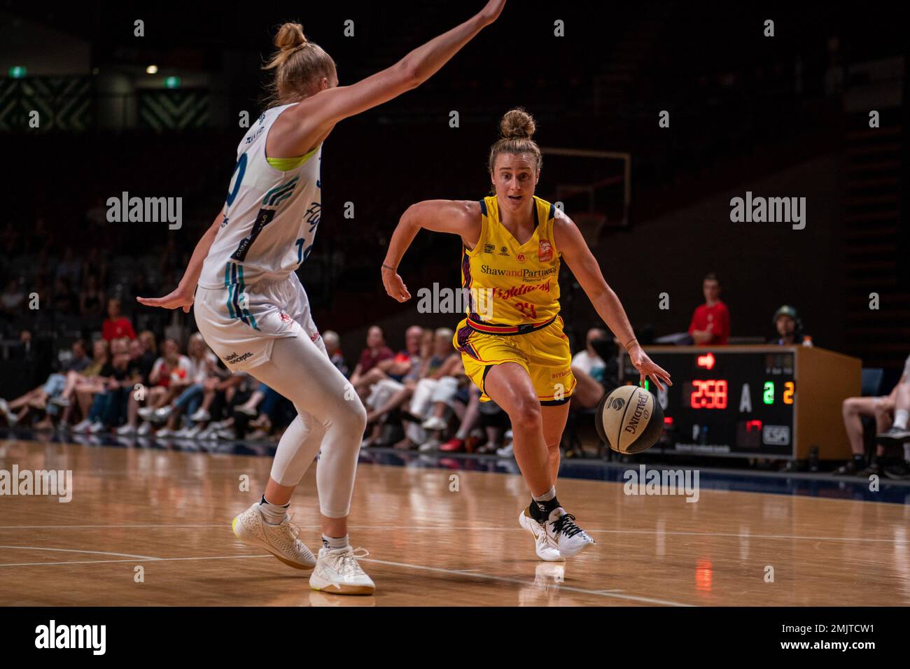Adelaide, Australia. 28th Jan, 2023. Adelaide, South Australia, January ...