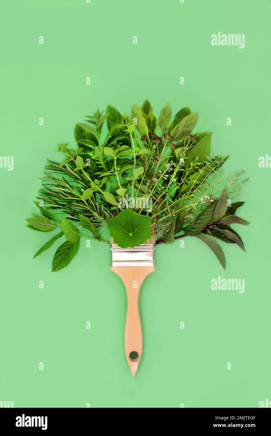 Abstract herb leaf tree shape paintbrush concept. Surreal minimal ...