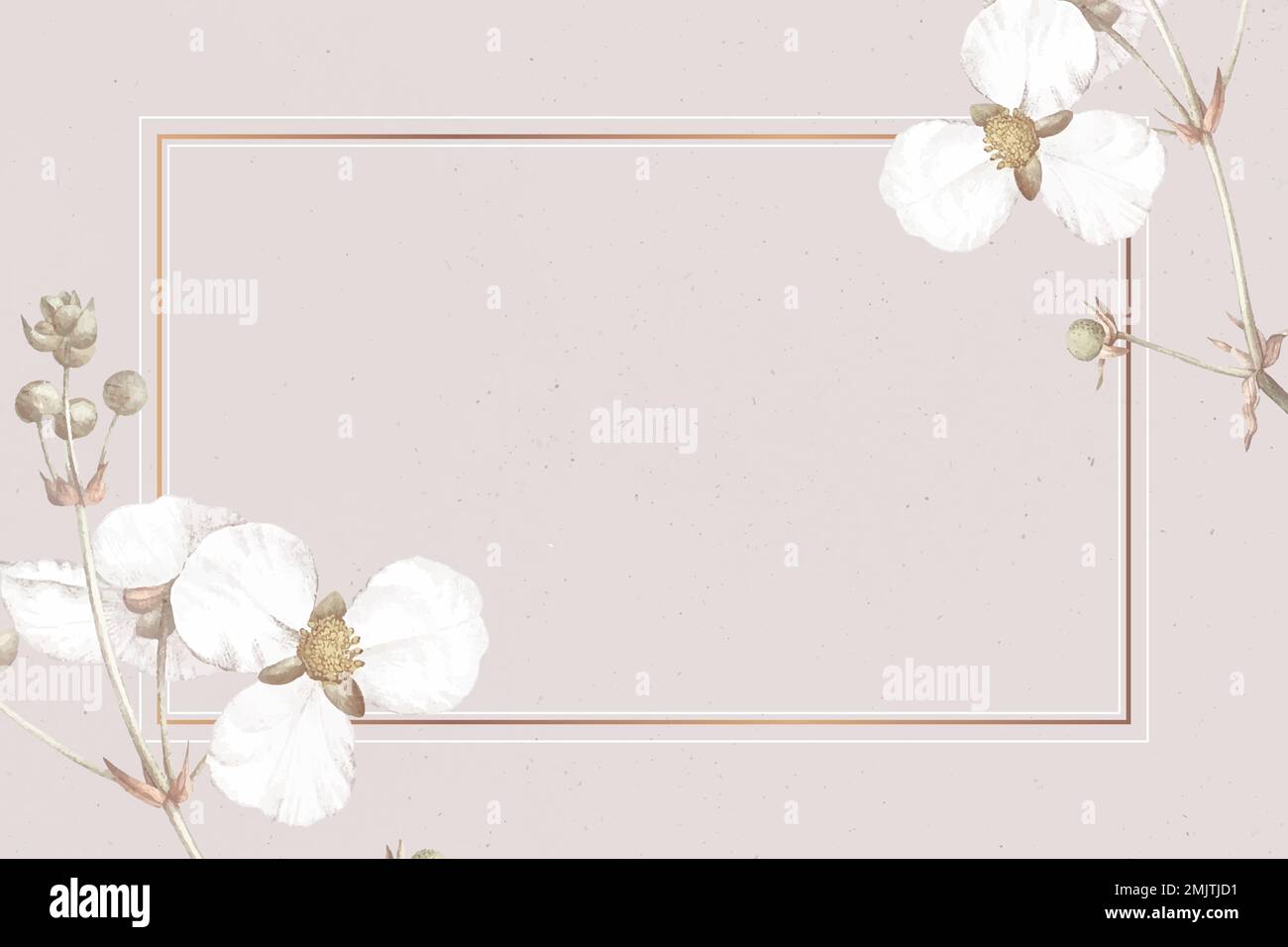 Frame with Bulltongue arrowhead vector Stock Vector Image & Art - Alamy