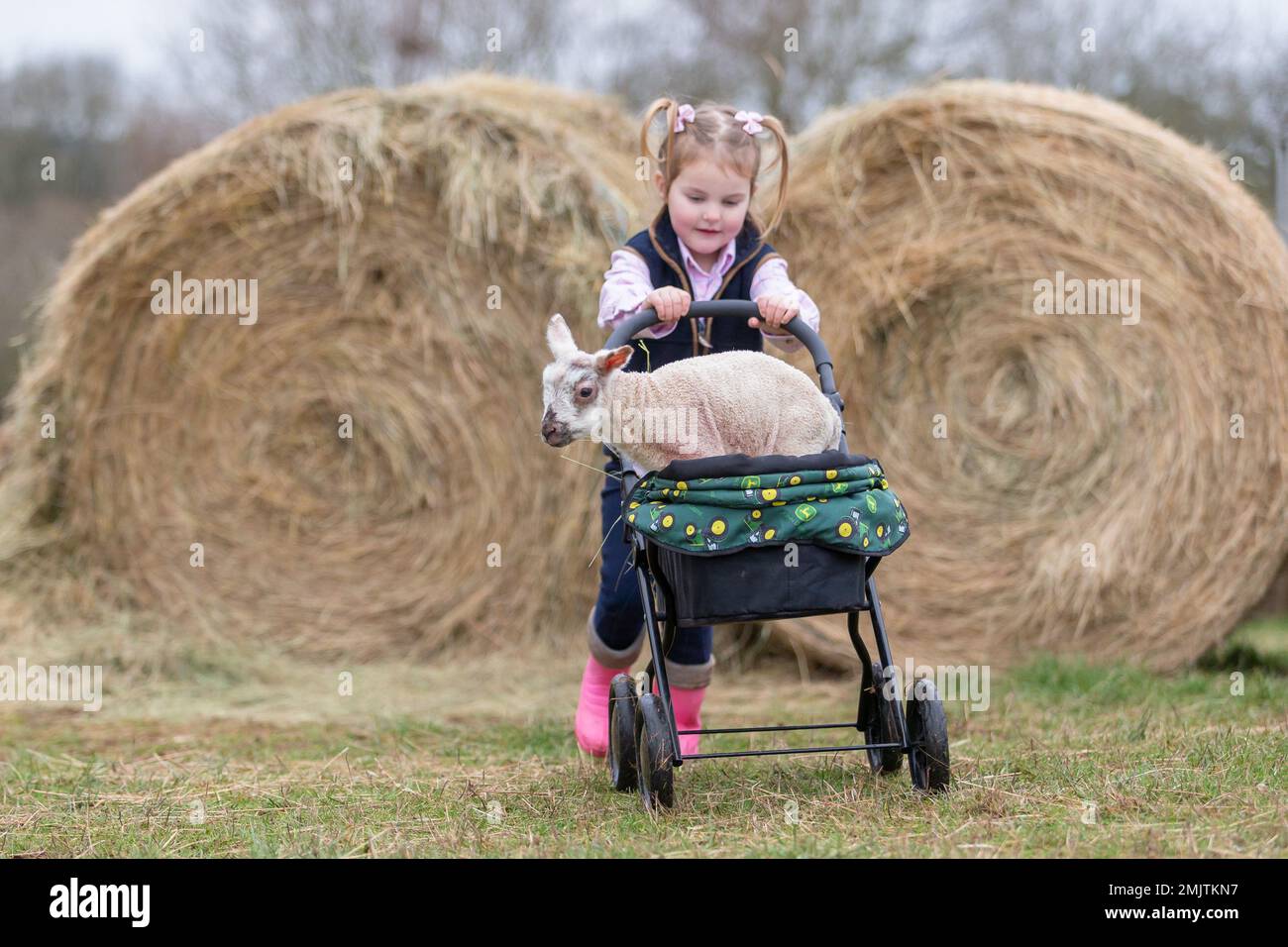 Arley, Worcestershire, UK. 28th Jan, 2023. 3-year-old Myla Mills plays ...