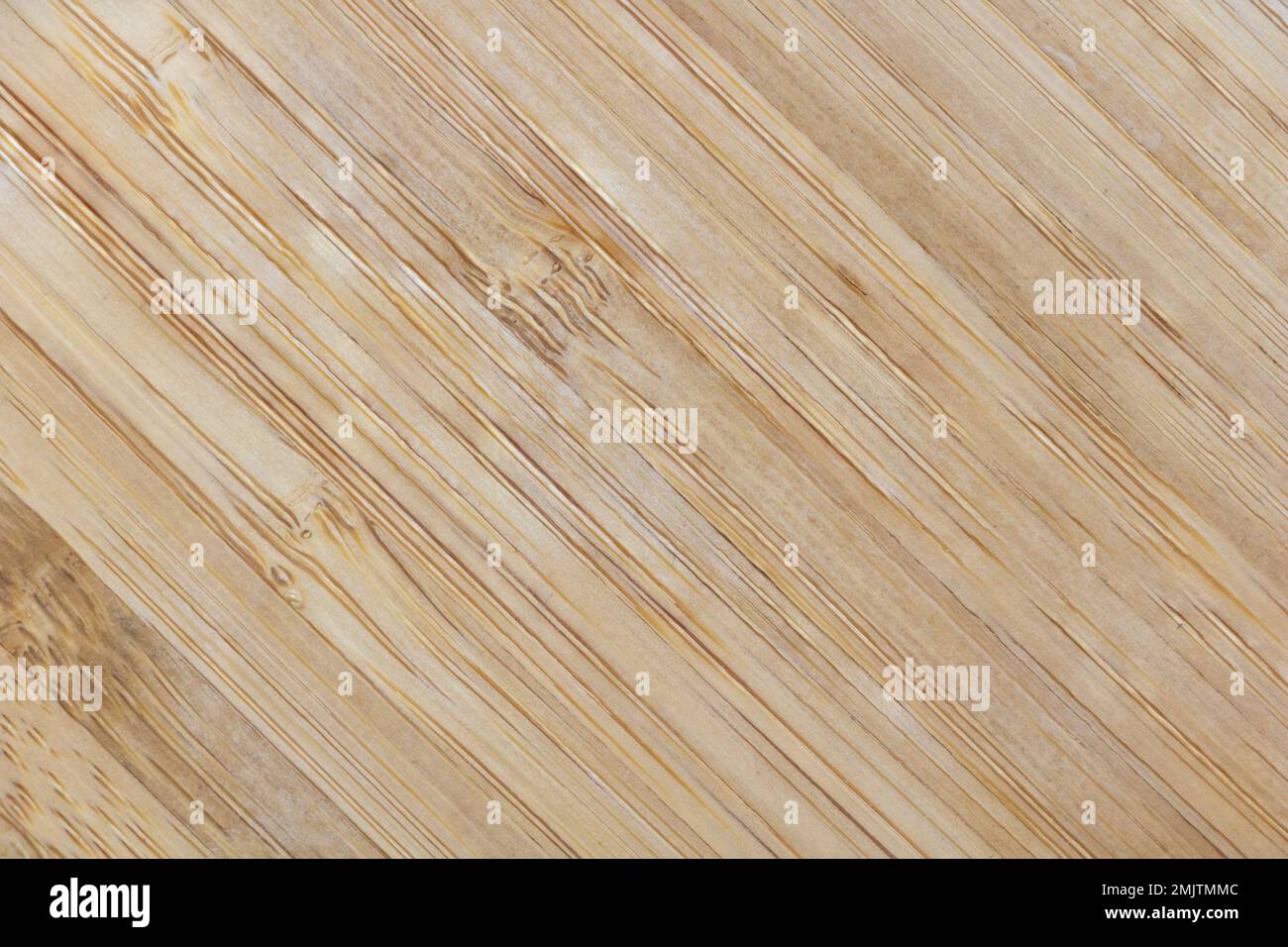 Bamboo Wood Texture